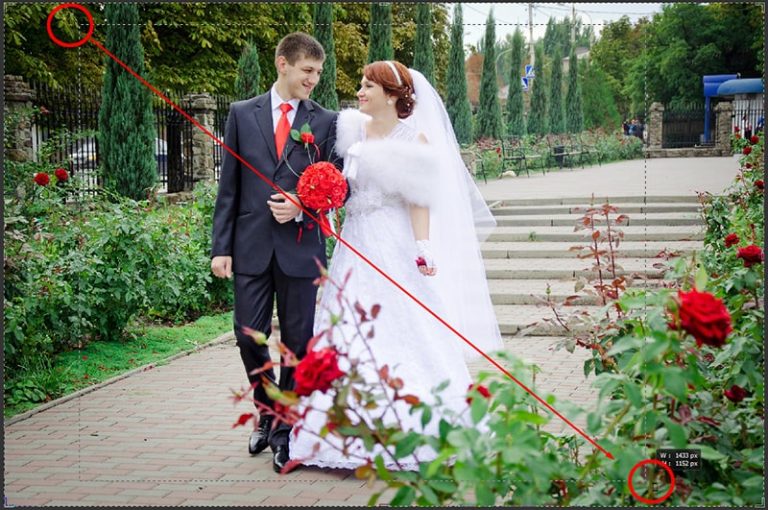 Photoshop Crop Tool for Image Cropping and Resizing