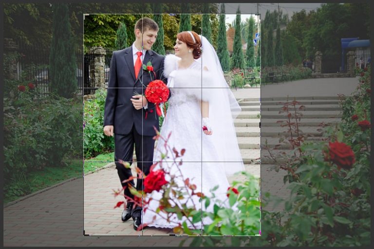 Photoshop Crop Tool for Image Cropping and Resizing