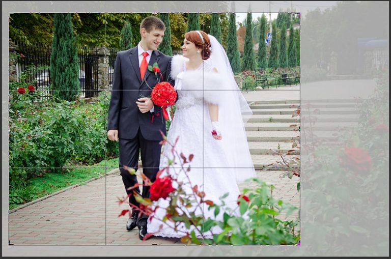 Photoshop Crop Tool for Image Cropping and Resizing