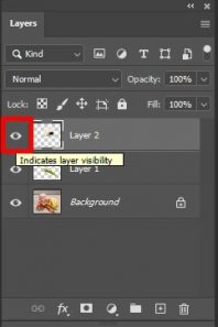 Photoshop Layers Tutorials – A Beginner's Guide
