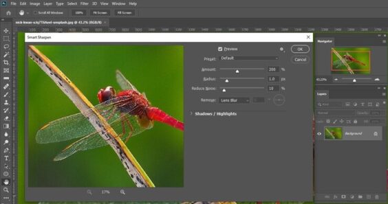 How to Sharpen an Image in Photoshop - Graphic Experts India
