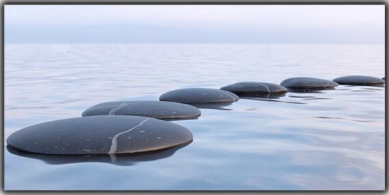 Macro Photography: The Complete Guide for Beginners [2025]