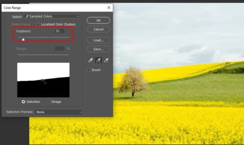 How to Cut Out an Image in Photoshop CC (07 Best Methods)