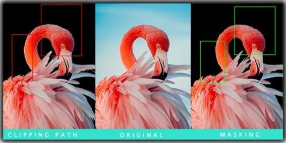 Clipping Path Vs Masking: Know the Key Difference