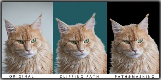 Clipping Path Vs Masking: Know the Key Difference