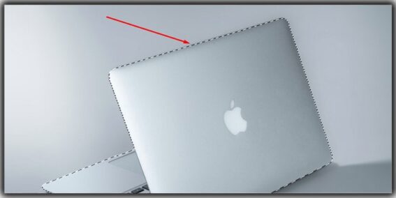 The Lasso Tool Photoshop - A Detailed Guide