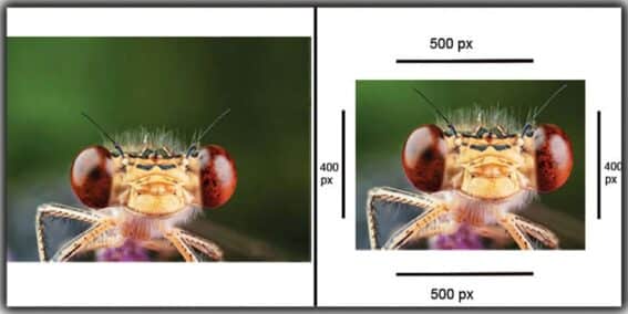 Macro Photography: The Complete Guide for Beginners [2025]