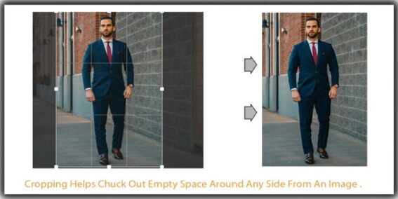 Cropping In Photography - A Beginner's Guide
