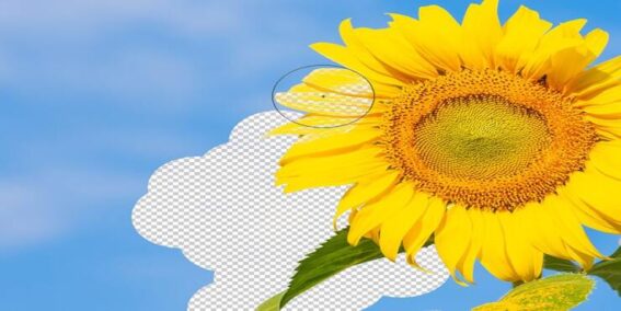 Unlocking the Secrets of Background Eraser Tool Photoshop