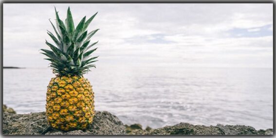 Cropping In Photography - A Beginner's Guide