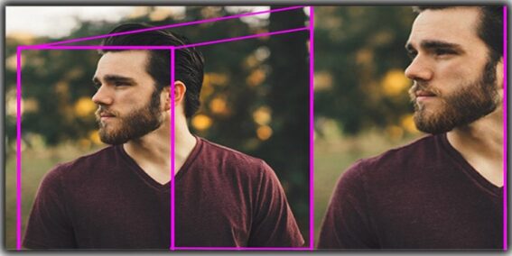 Cropping In Photography - A Beginner's Guide