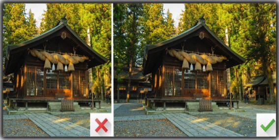 Cropping In Photography - A Beginner's Guide