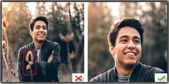 Cropping In Photography - A Beginner's Guide