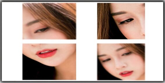 Cropping In Photography - A Beginner's Guide